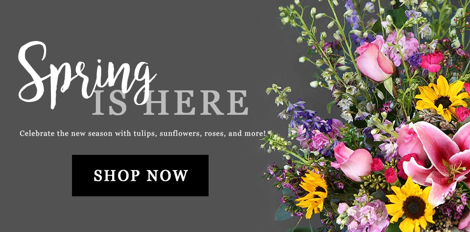 Florist Orlando, FL - In Bloom Florist - Same-day Delivery Orlando